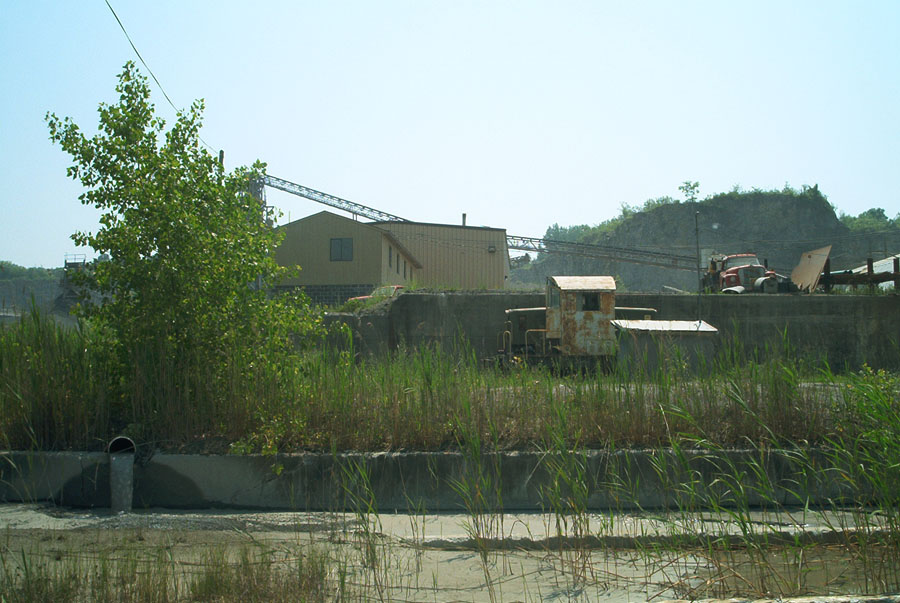 The Cushing Branch